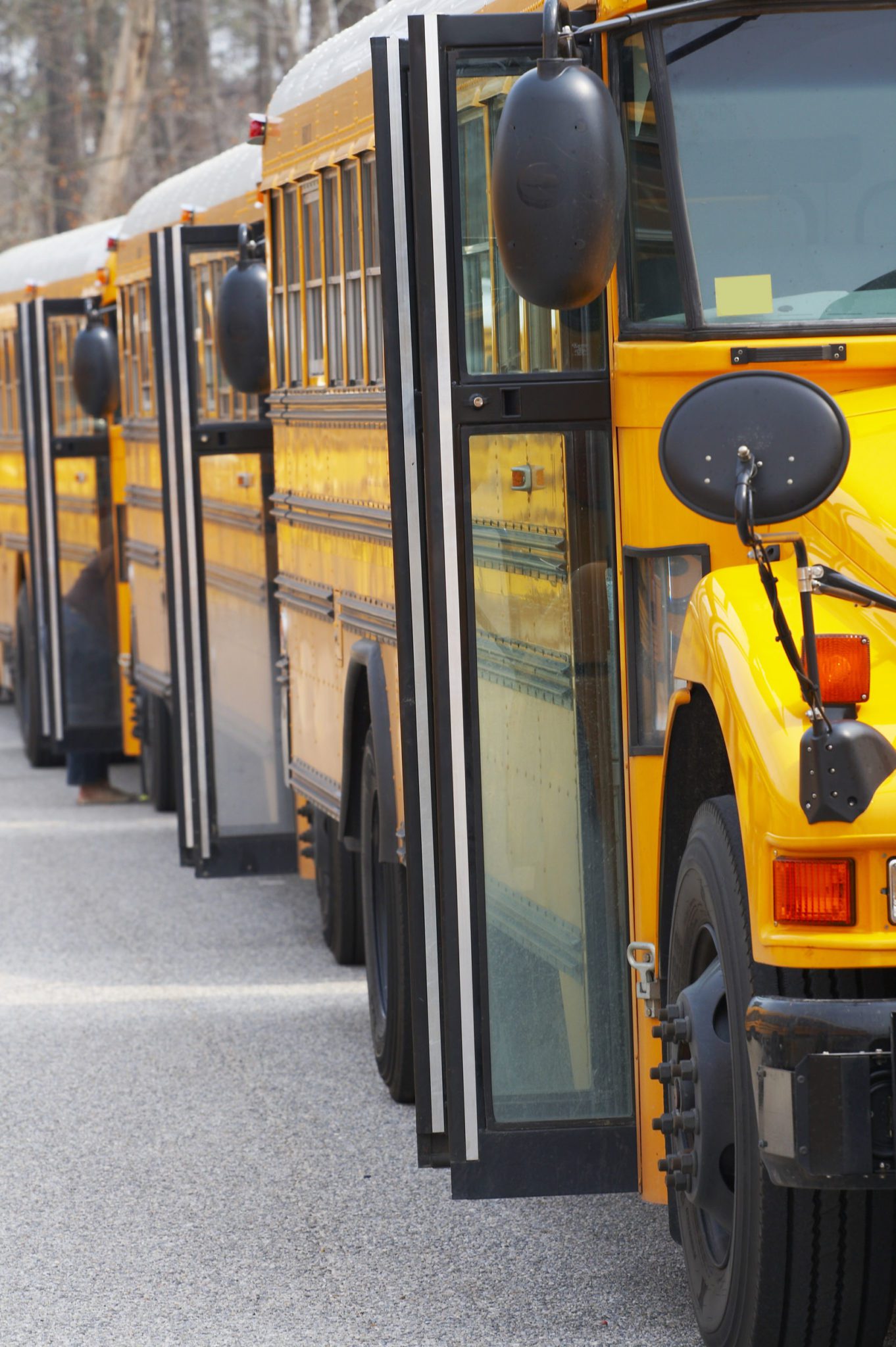 News | Halton Student Transportation Services
