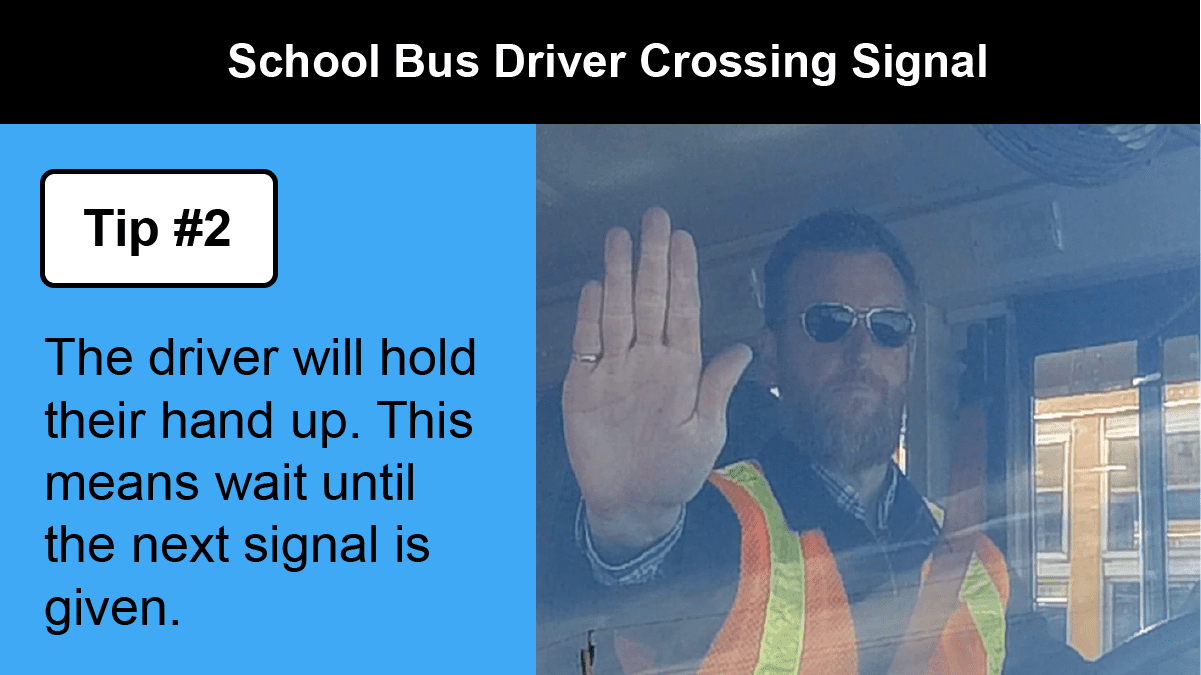 How to Cross Safely and School Bus Driver Hand Signals | Halton Student ...