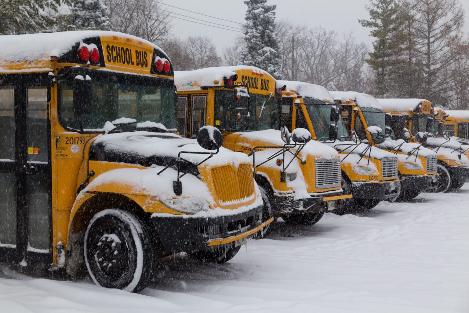 News | Halton Student Transportation Services